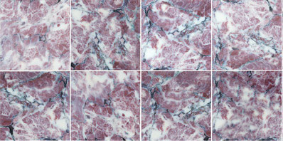 Disacc Maquett 34727